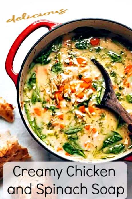 Creamy Chicken and Spinach Soup – Appetizer Girl